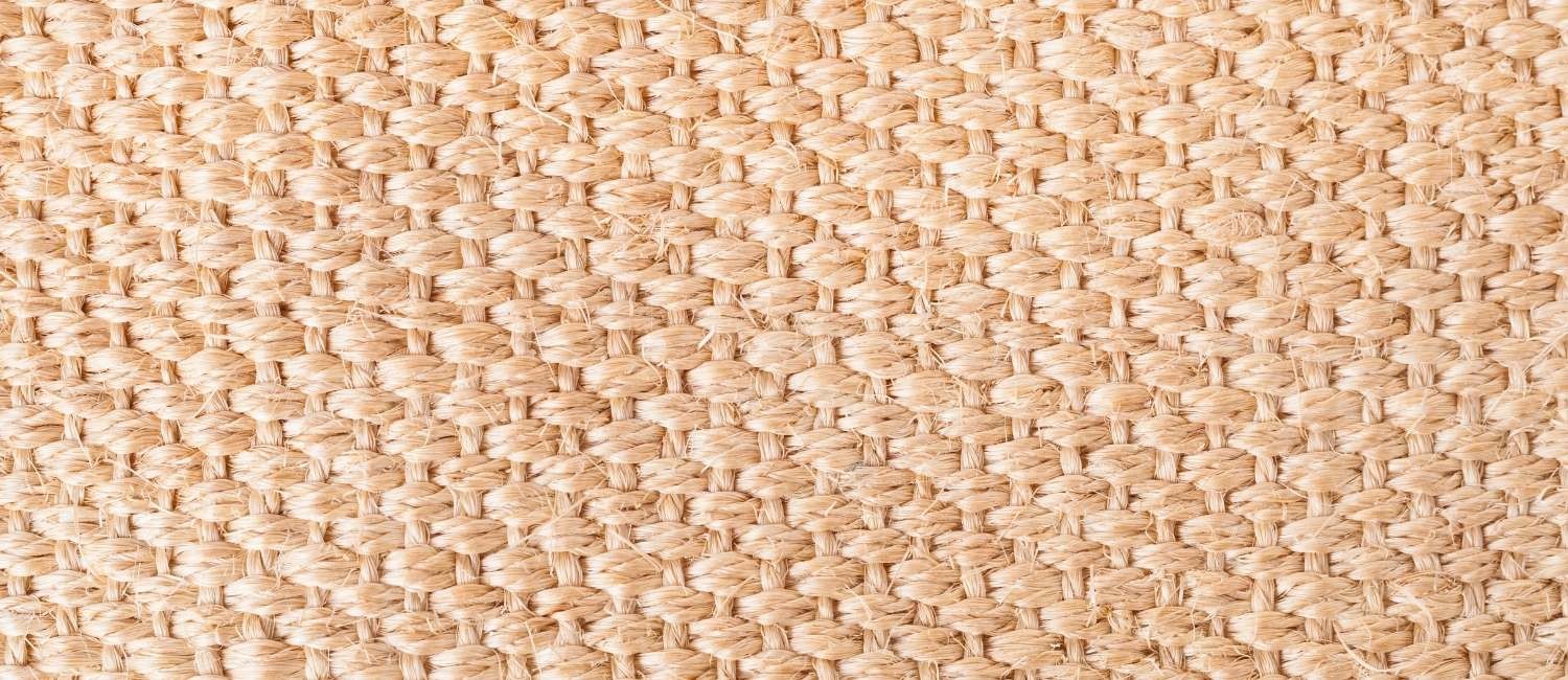 Entretenir du jonc de mer | Le Briochin